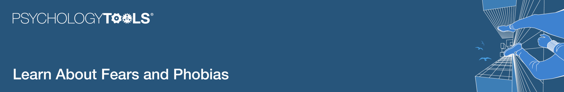 Learn About Fears and Phobias | Psychology Tools